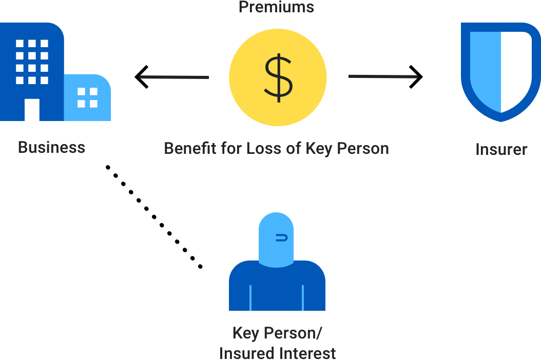 Key Person | Blue Herring